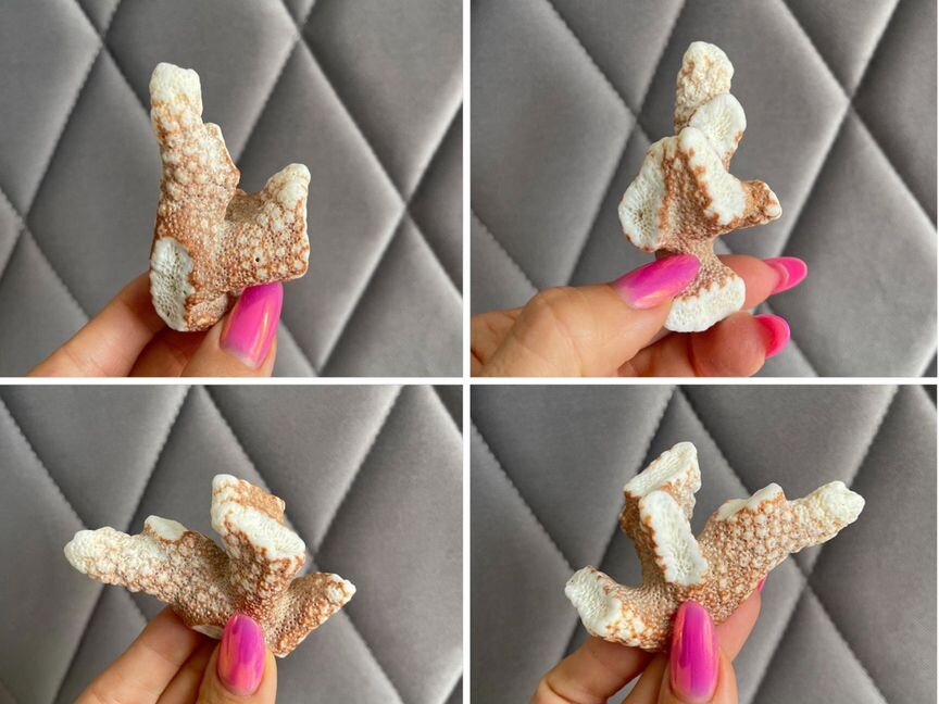 Коралл натуральный с Мальдивских островов