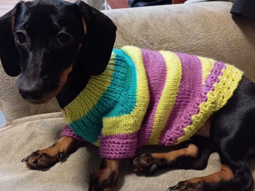 Отдам в добрые руки