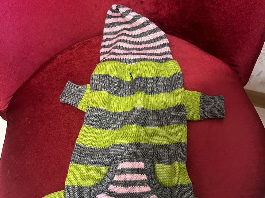 Вязаная кофта для собак