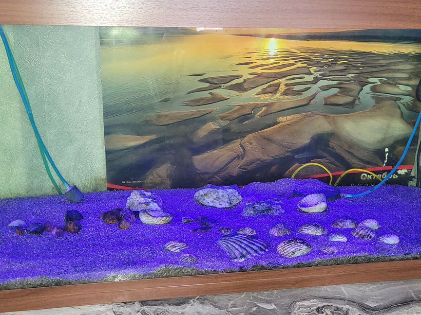 Аквариум Ferplast Dubai 100