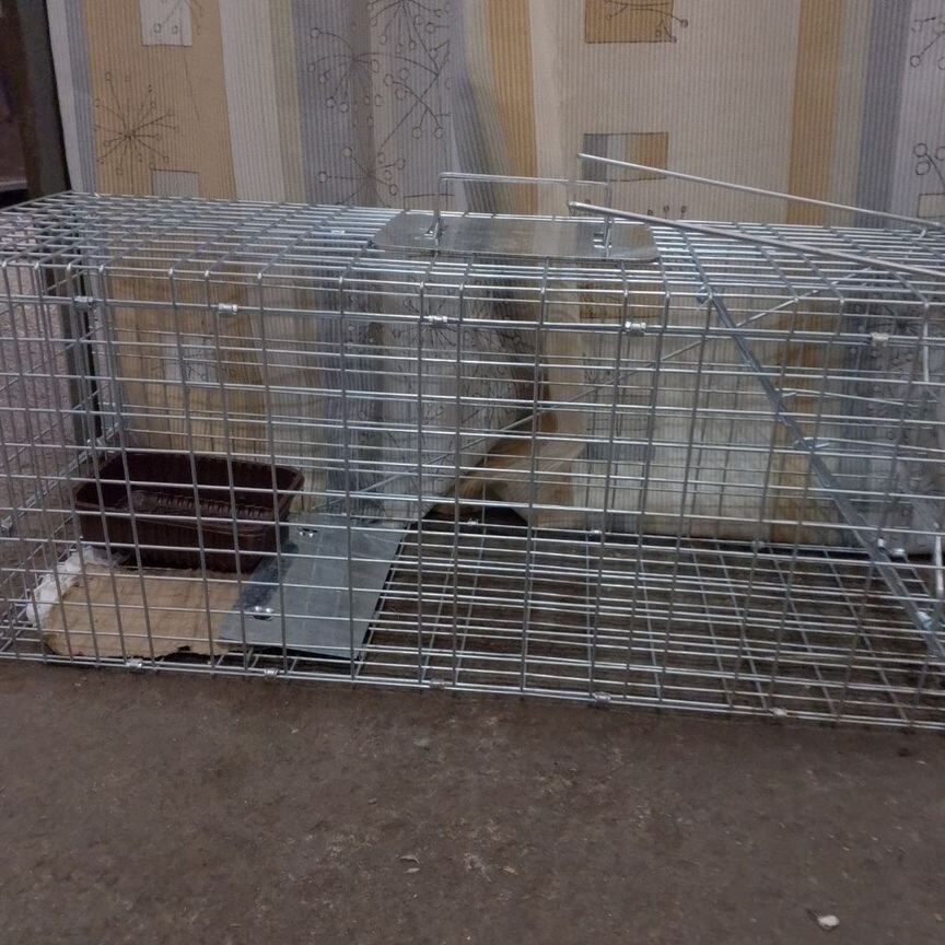 Клетка кошколовка