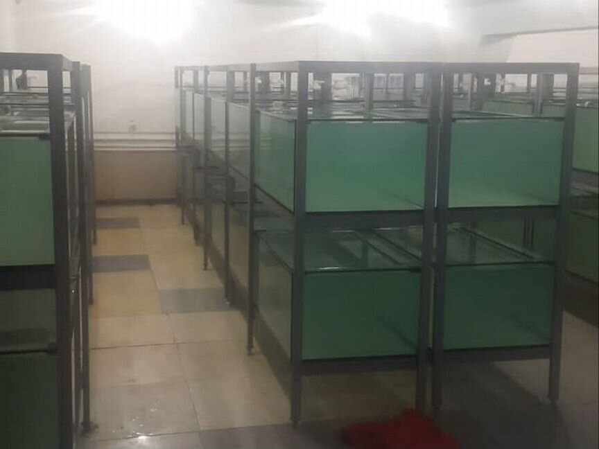 Продам аквариумы для разведения раков и рыб