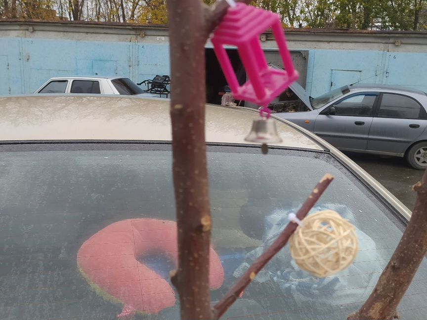 Стенд для попугаев