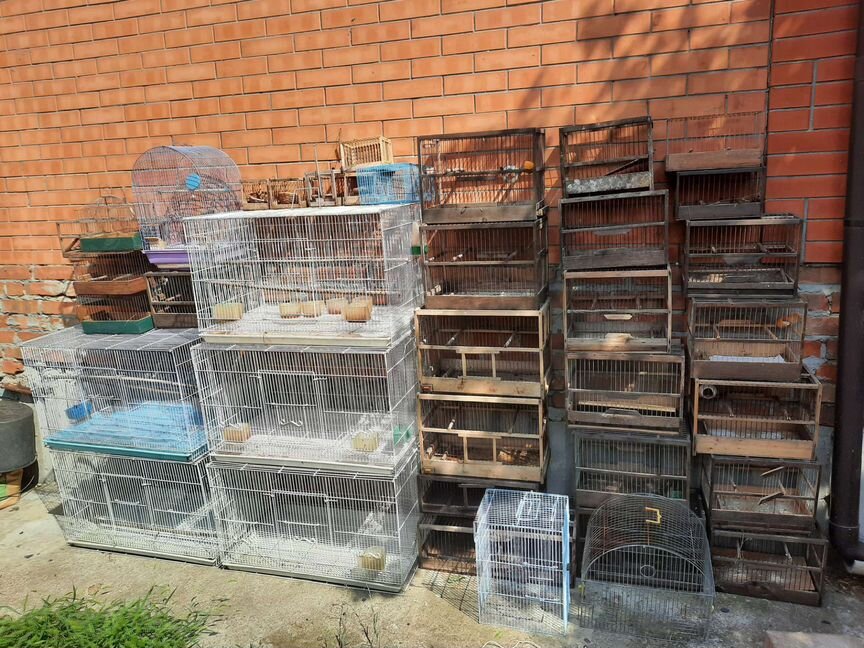 Клетка для попугаев, канареек, перепелок