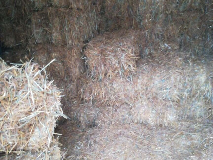 Солома в тюках