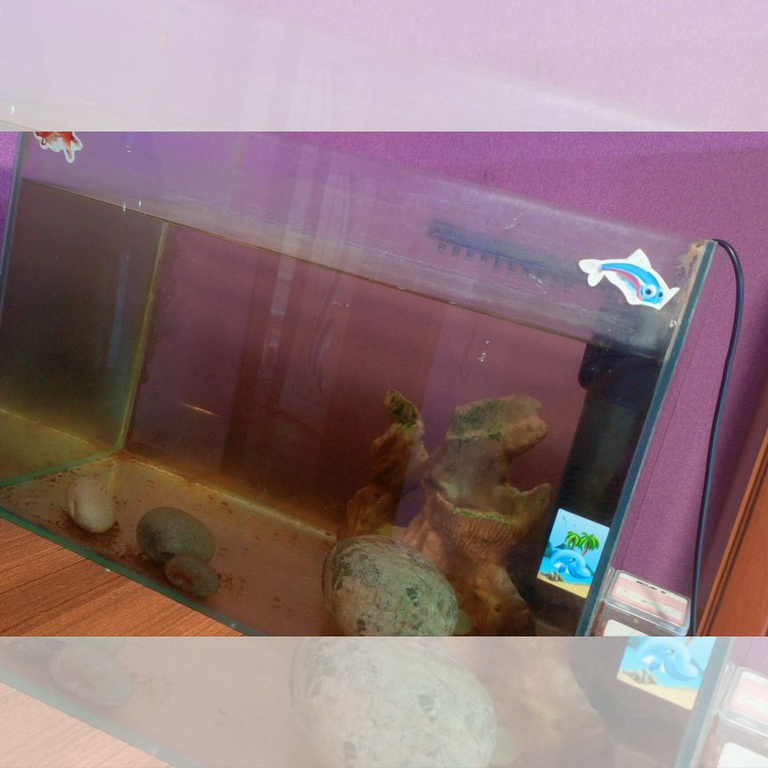 Аквариум на 40 литров