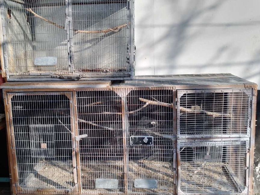 Клетка для попугая