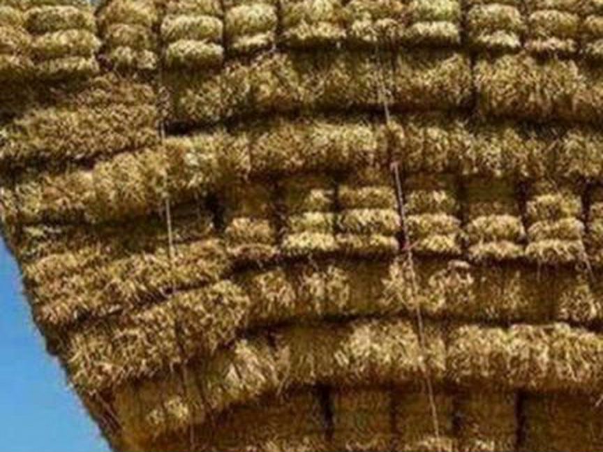 Солома в тюках пшеничная