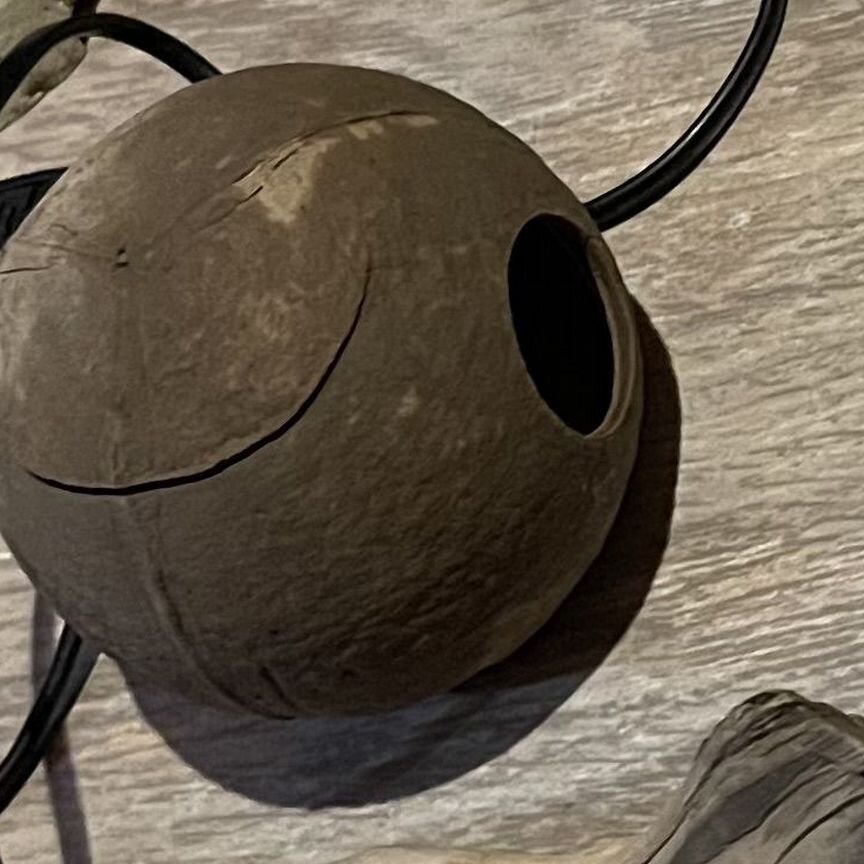 Домик для животного