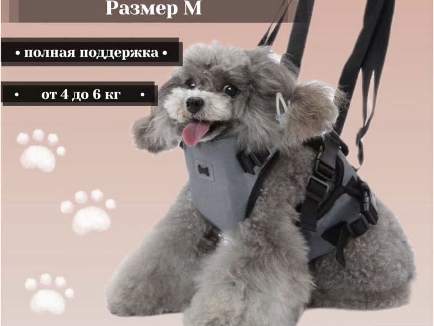 Ходунки для животных