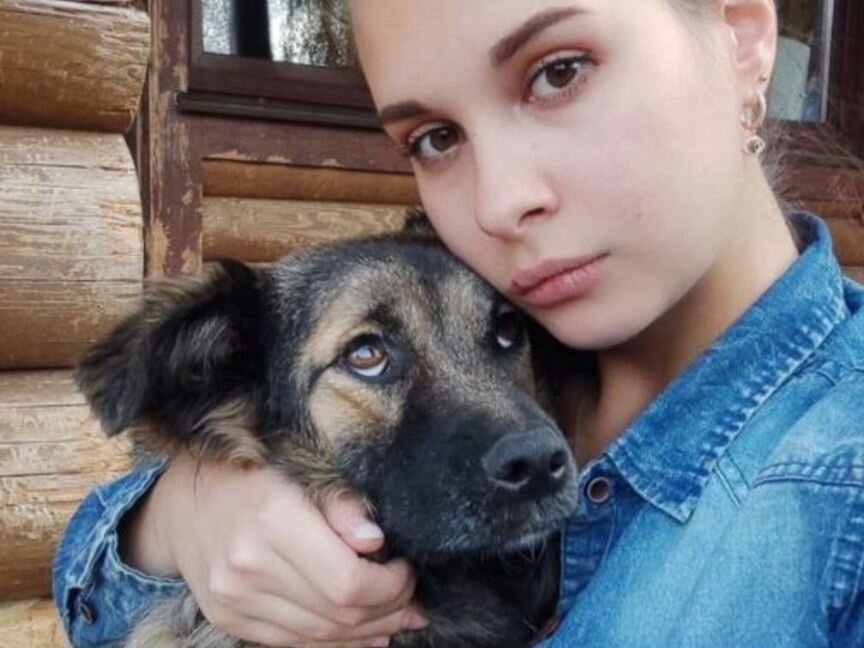 Самый красивый и ласковый пёс приюта