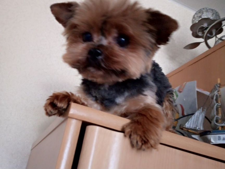 Вязка для декорашек (невест)