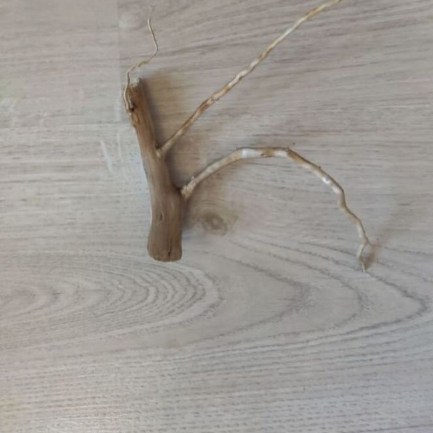 Коряги для террариума