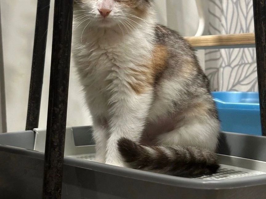 Маруся 3,5 мес