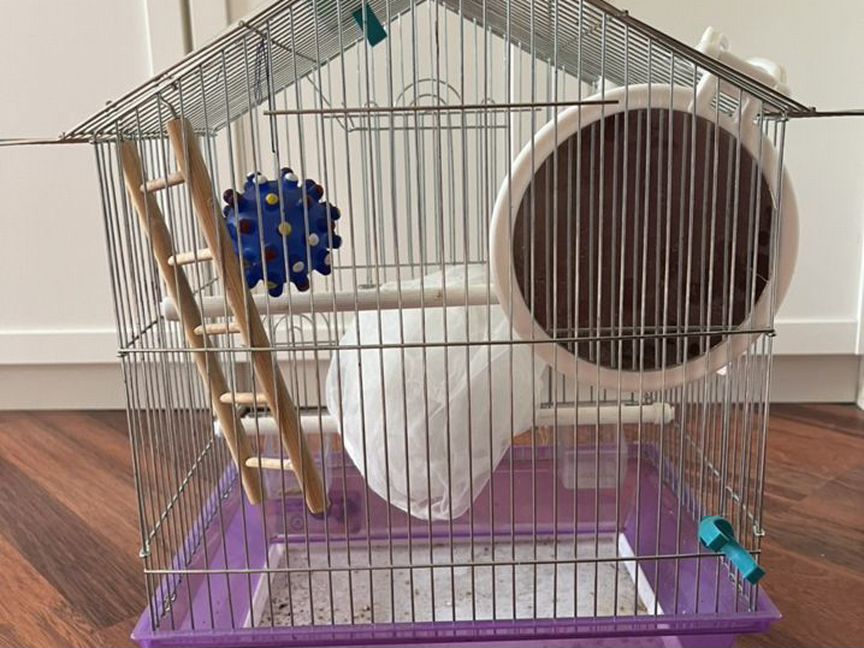 Клетка для попугая