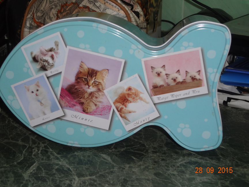 Продаю коробку для корма