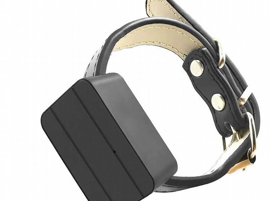 Gps ошейник для животных