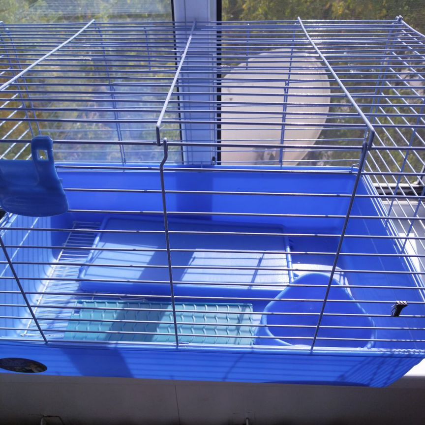 Клетка для грызунов большая