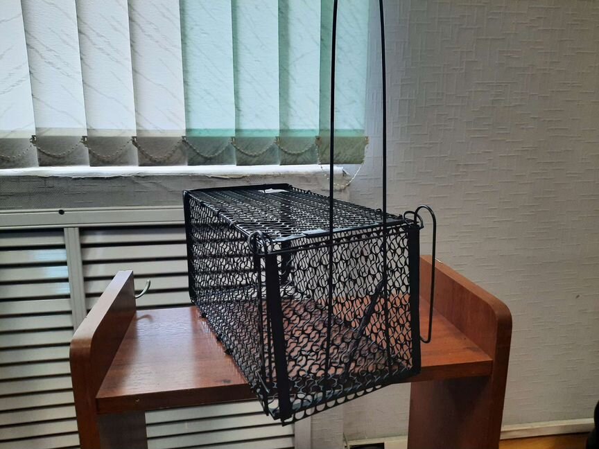 Мышеловка крысоловка