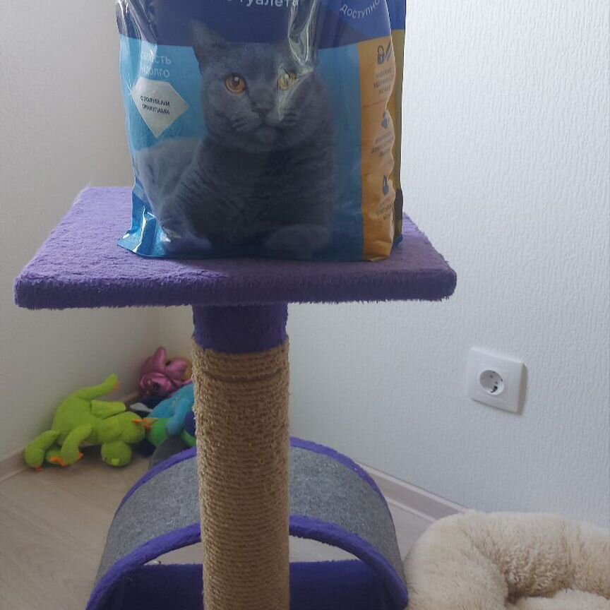 Когтеточка для кошек лежанка наполнитель