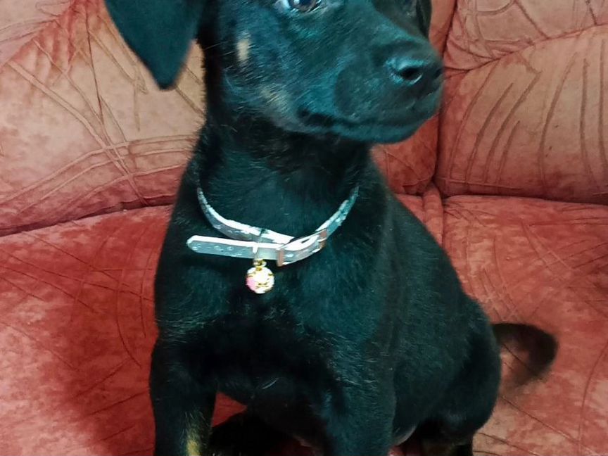 Красавец мальчик ищет семью