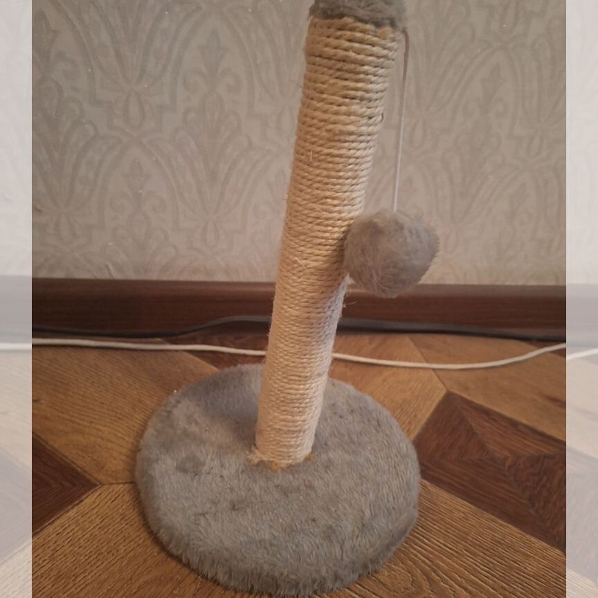 Когтеточка