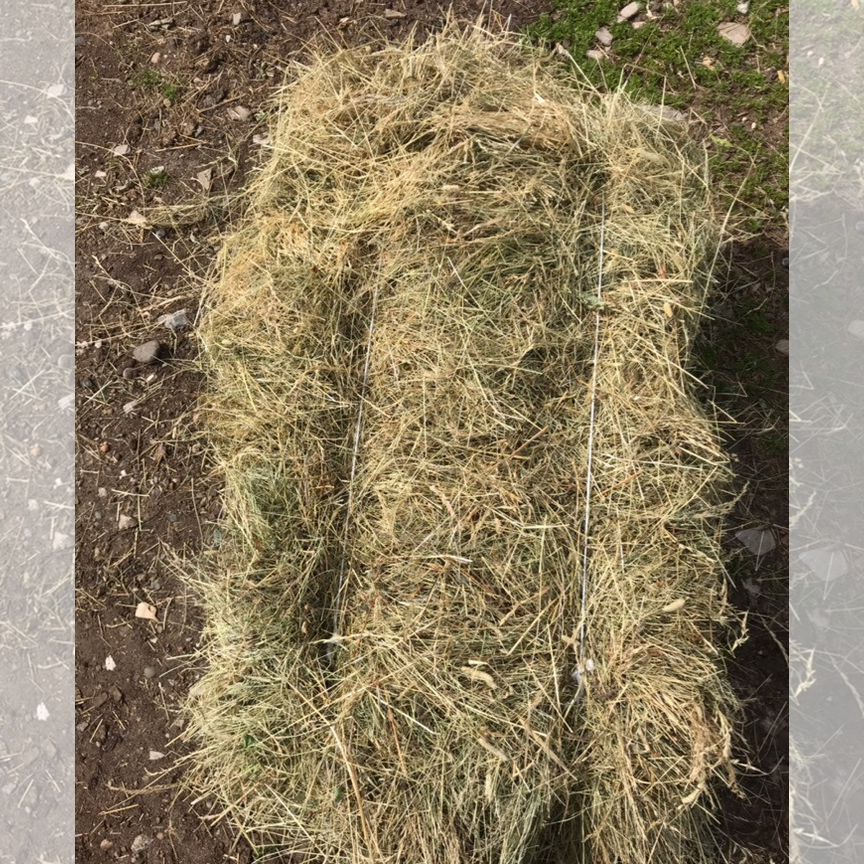 Продам сено в тюках