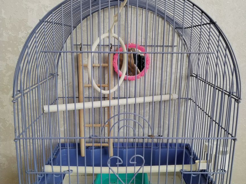 Клетка для попугая