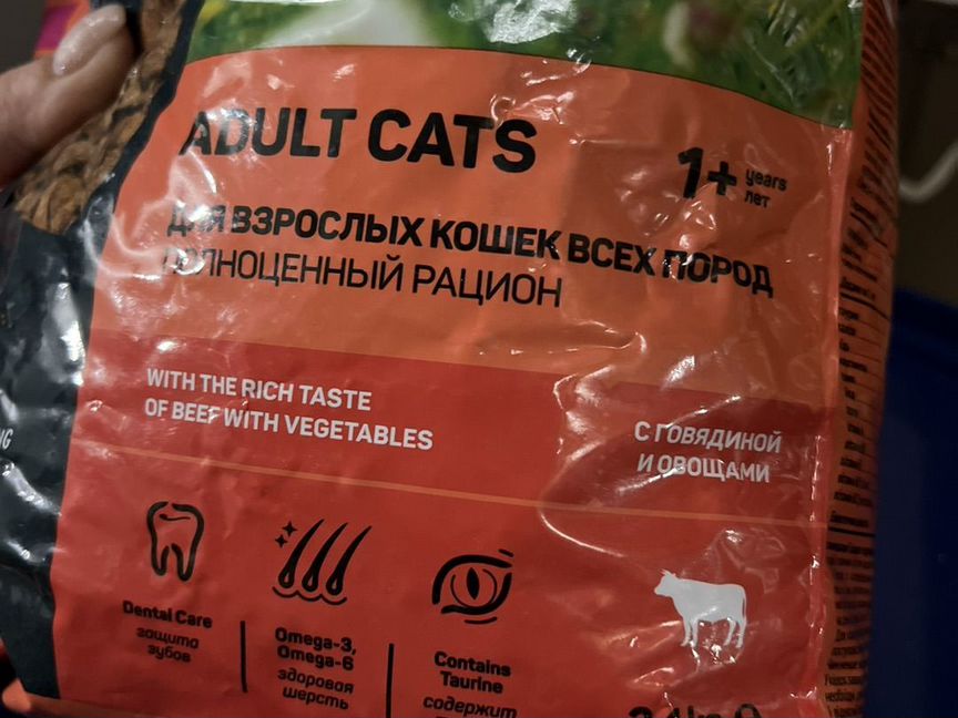 Корм для кошек