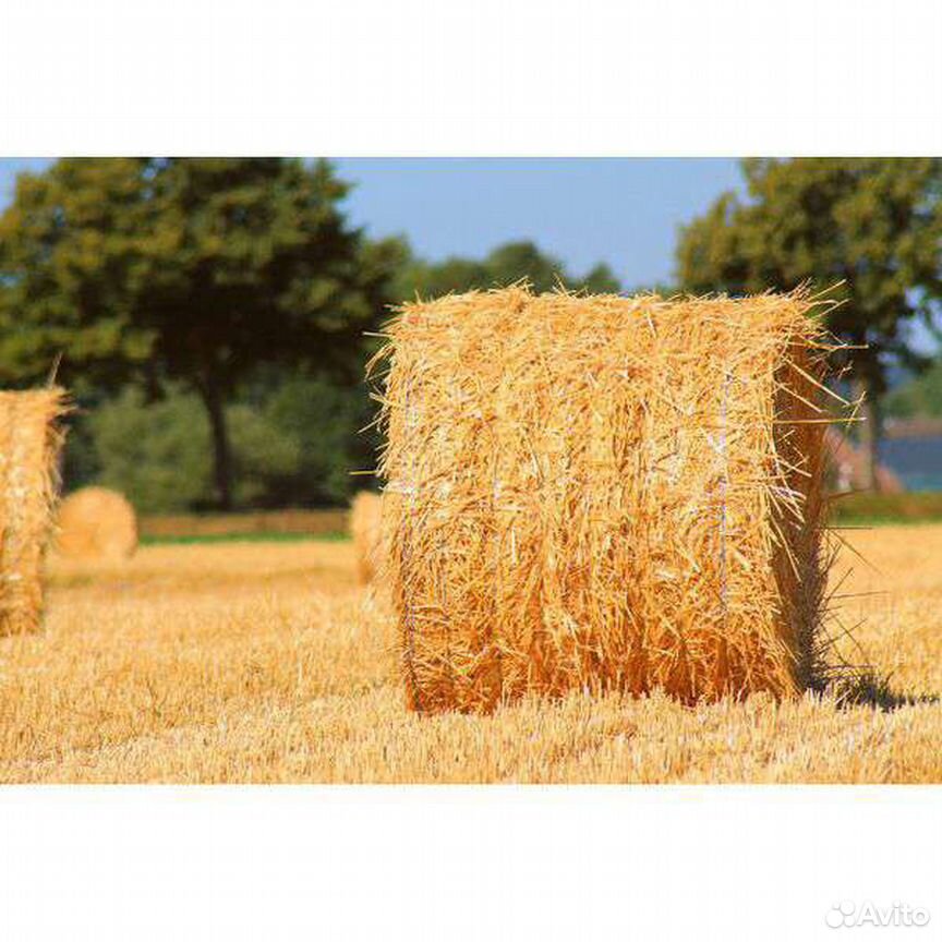 Солома в рулонах
