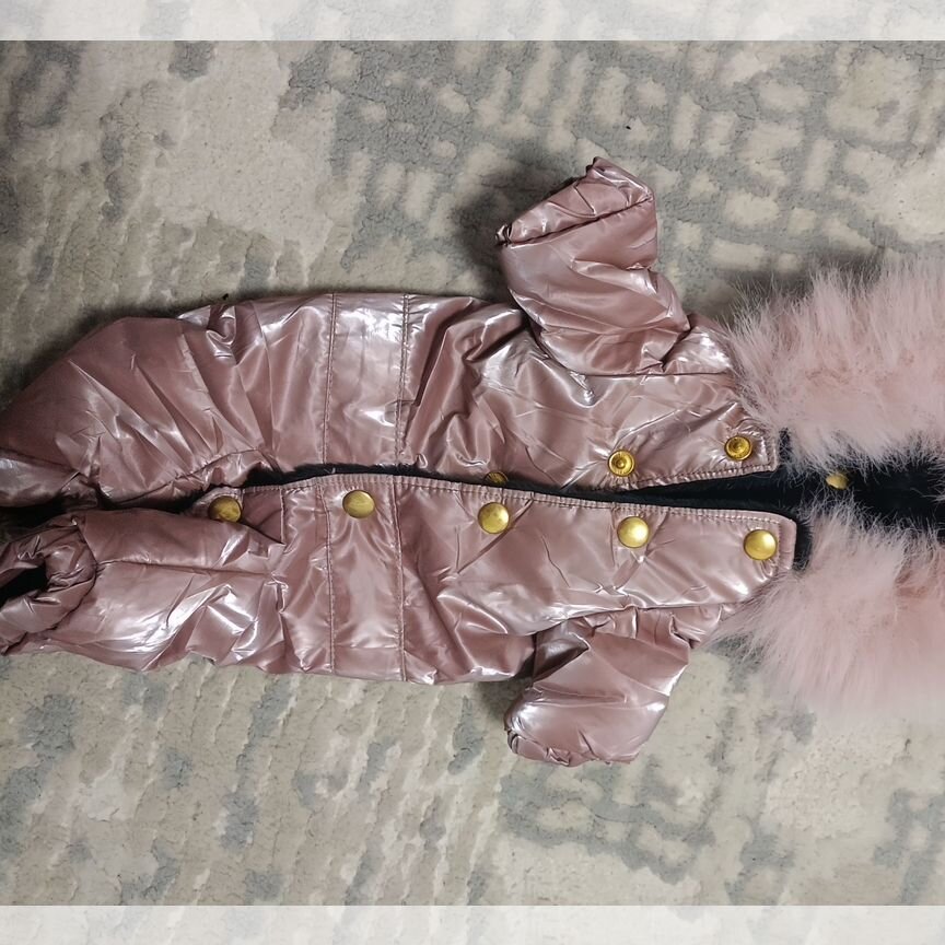 Зимняя одежда для собак мелких пород