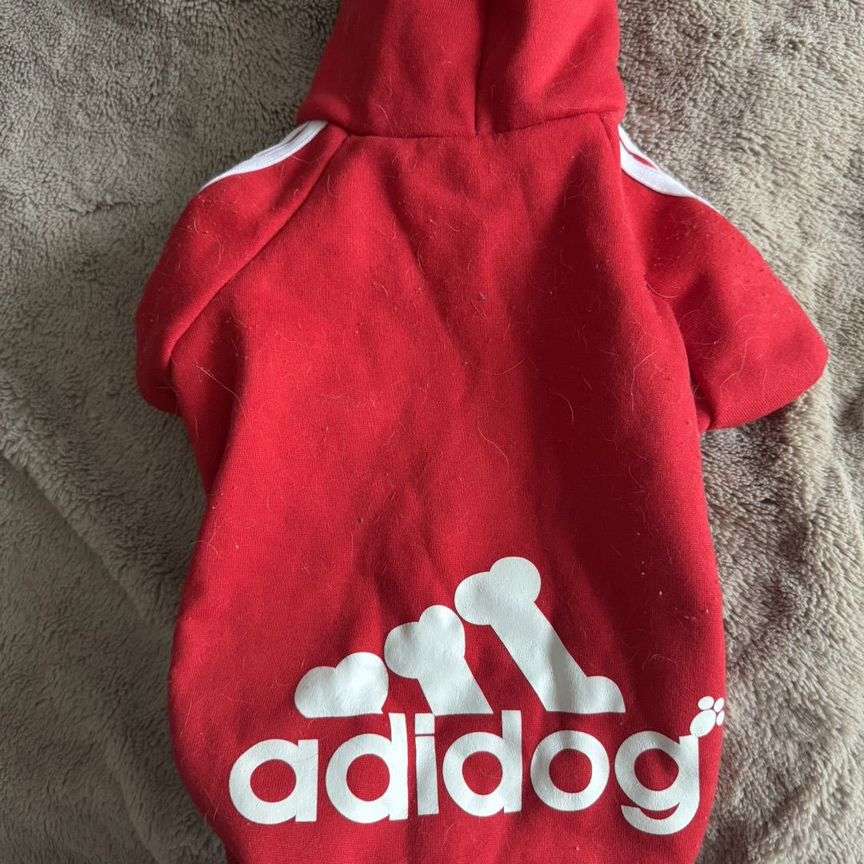 Одежда для собаки (мопс)