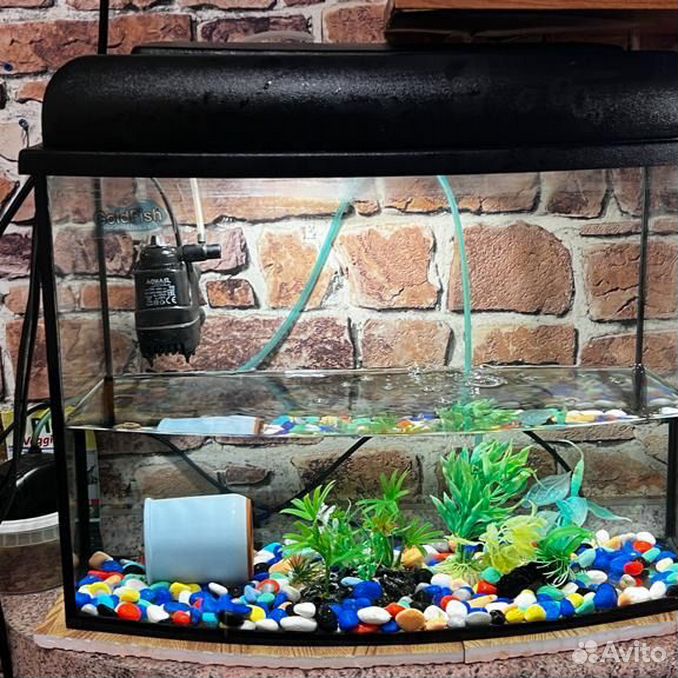 Аквариум телевизор с крышкой 30л в комплекте