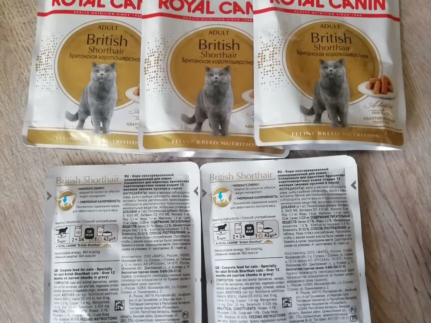 Корм для британских кошек royal canin