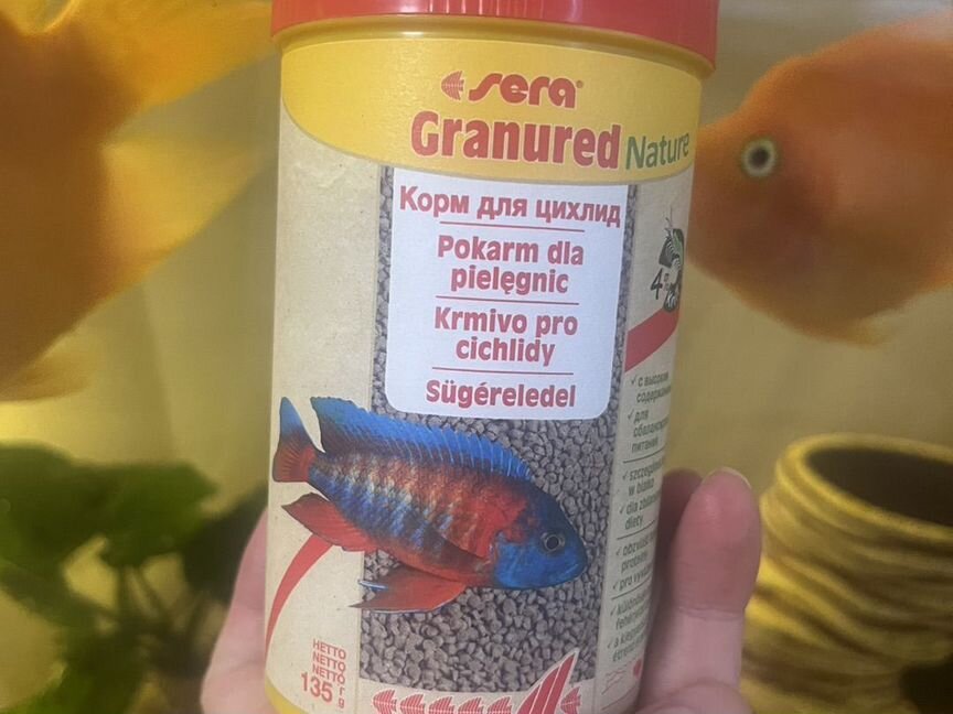 Корм для рыбок цыхлид
