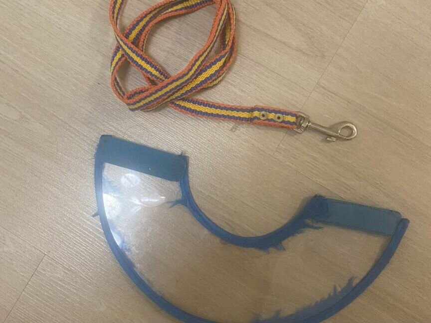 Поводок шлейка и воротник ветеринарный