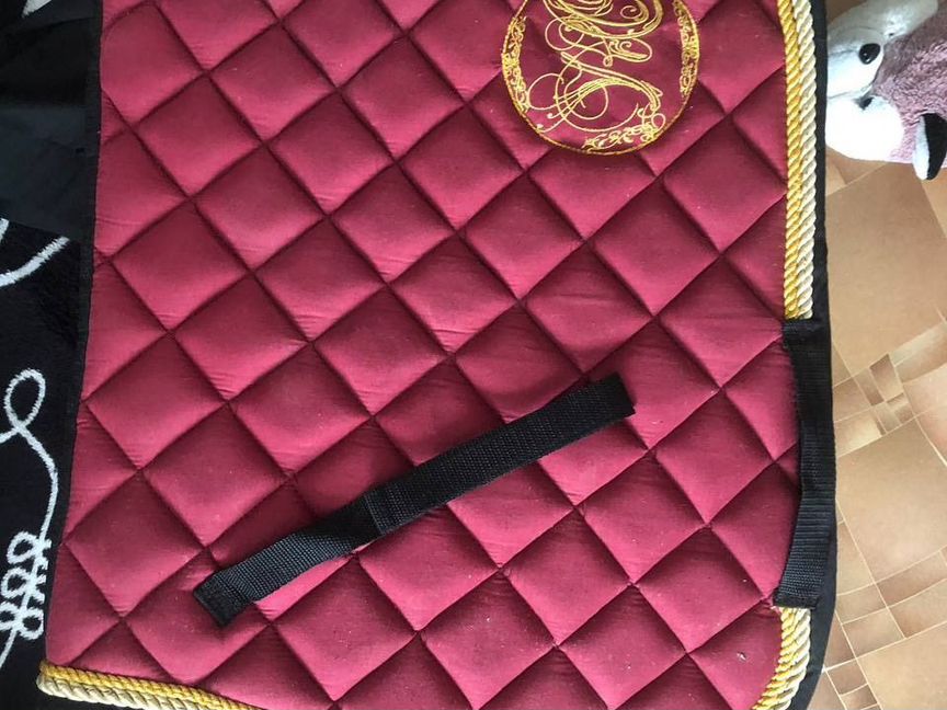 Вальтрап выездковый