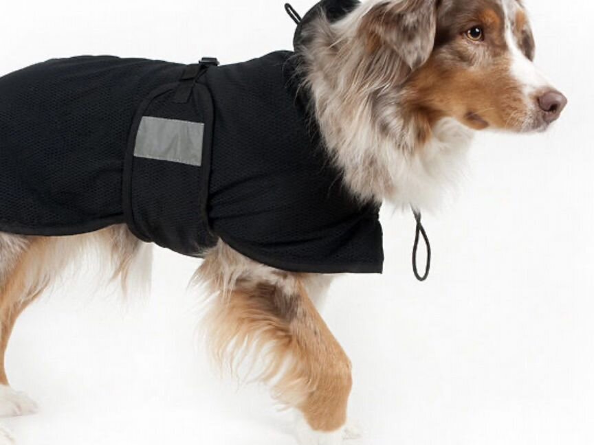 Попона Dog Mash Back on Track