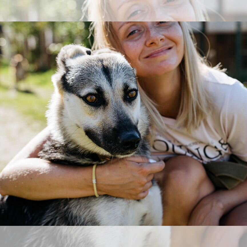 Собака Варюша