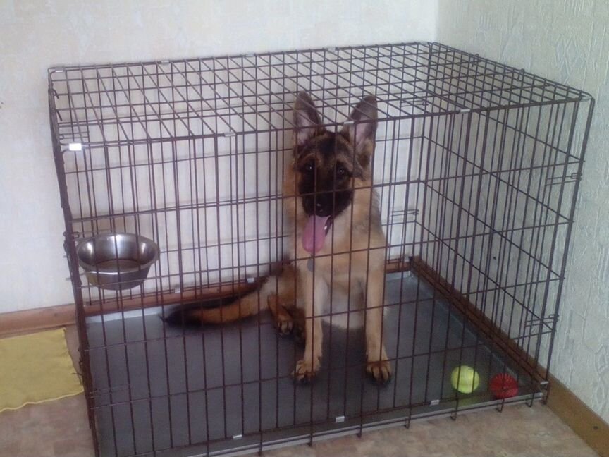 Клетка для собак №5