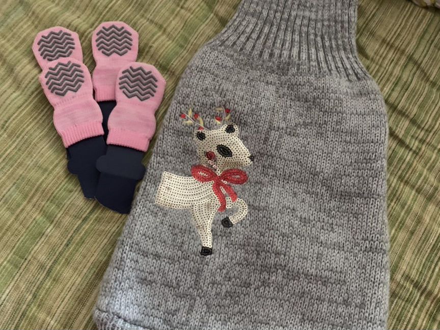 Одежда для маленьких собак