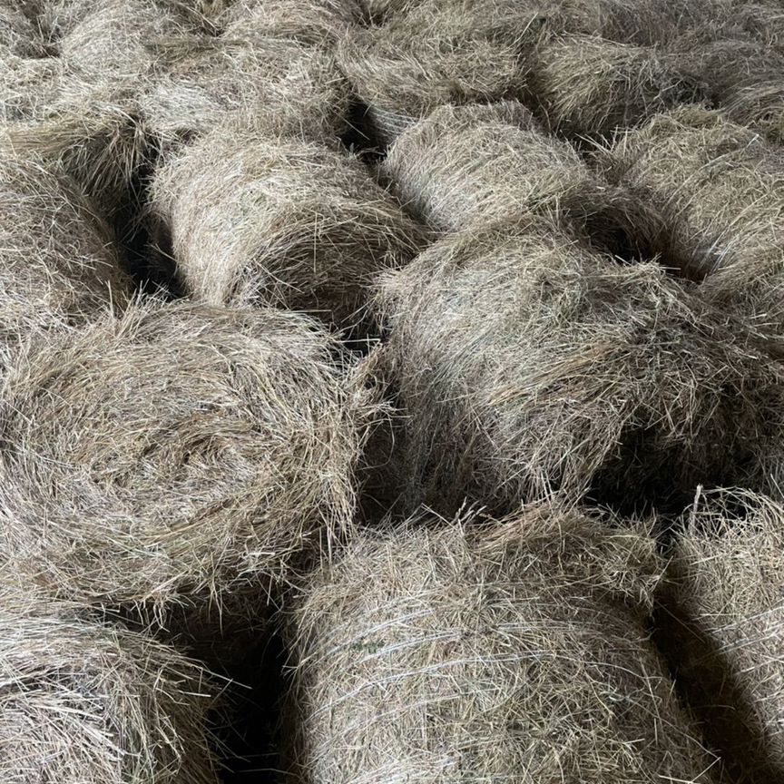 Сено в рулонах