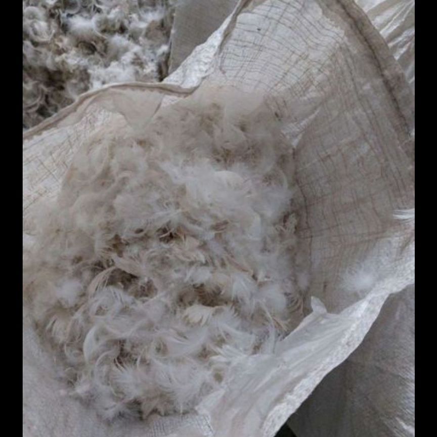 Пух перо принимаю