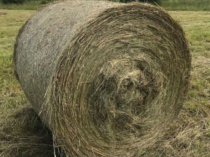 Сено сухое, урожай 2023 г., упакованное в сетку