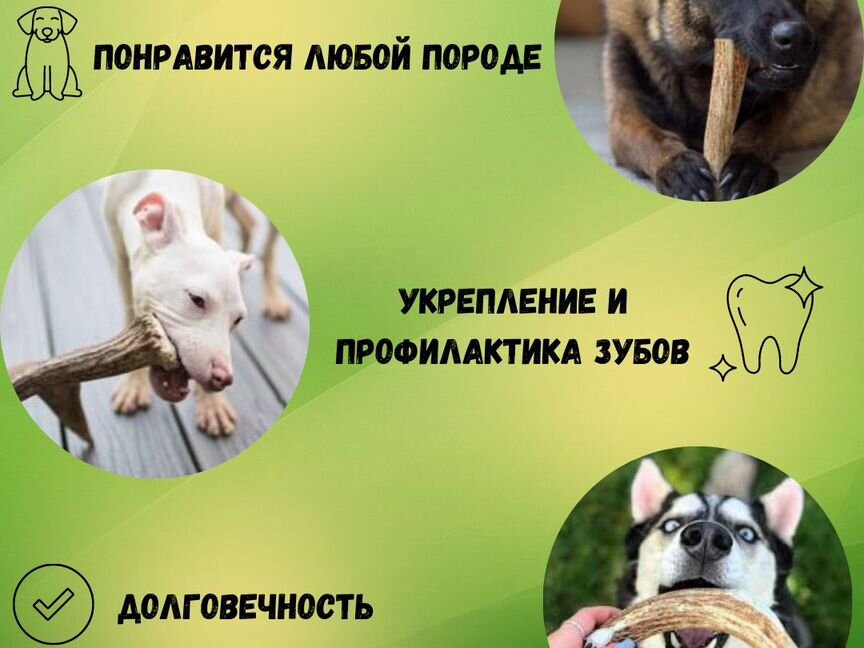 Лакомства для собак рога