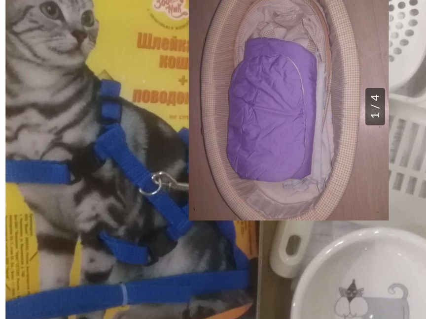 Лежак,поводок,лопатки и чаша для собачки или кошки