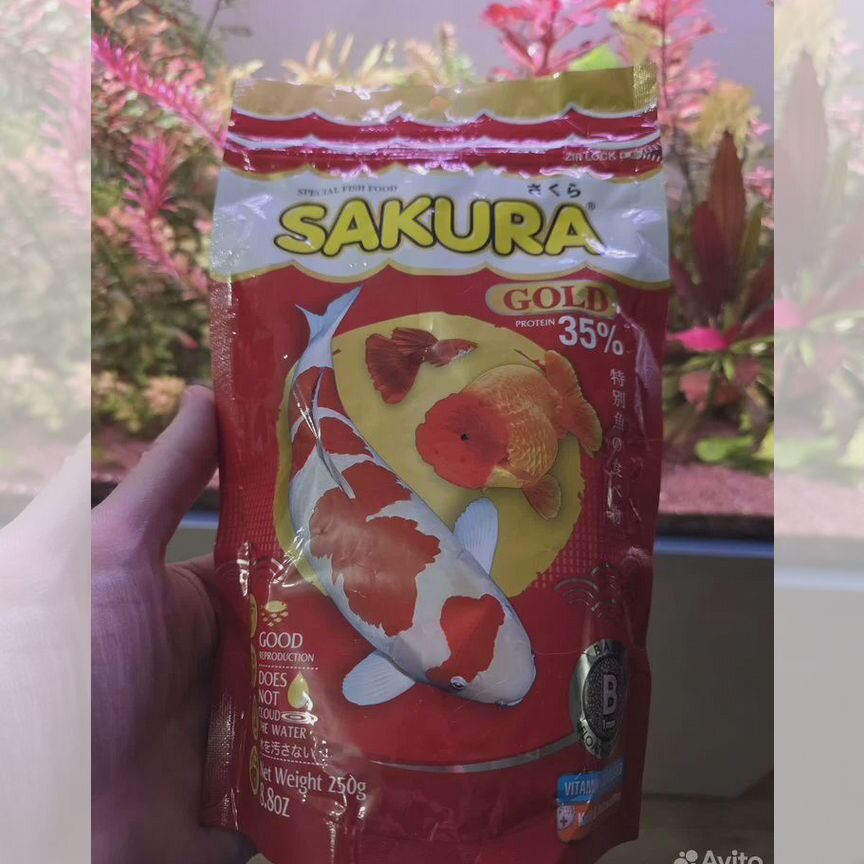 Лот для Валерия