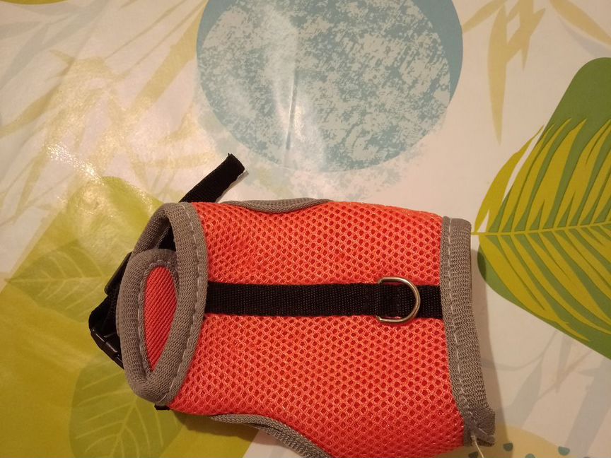 Шлейка для домашней крыски