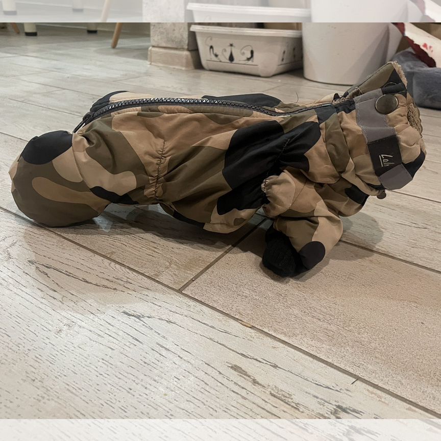 Комбинезон для собаки маленькой