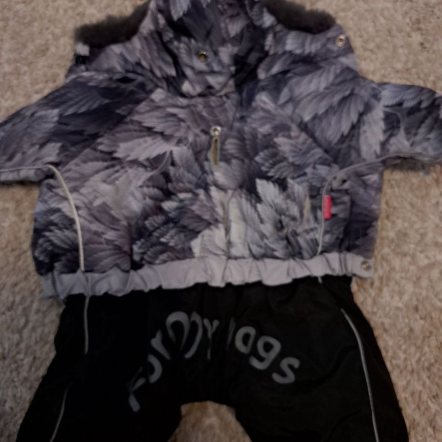 Одежда для маленьких собак зимняя